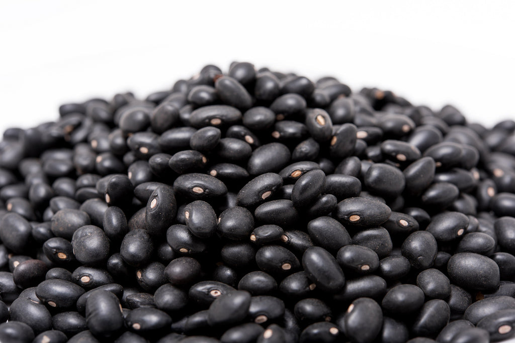 50 BLACK BEAN (Black Turtle Bush Bean) Phaseolus Vulgaris Vegetable Se ...